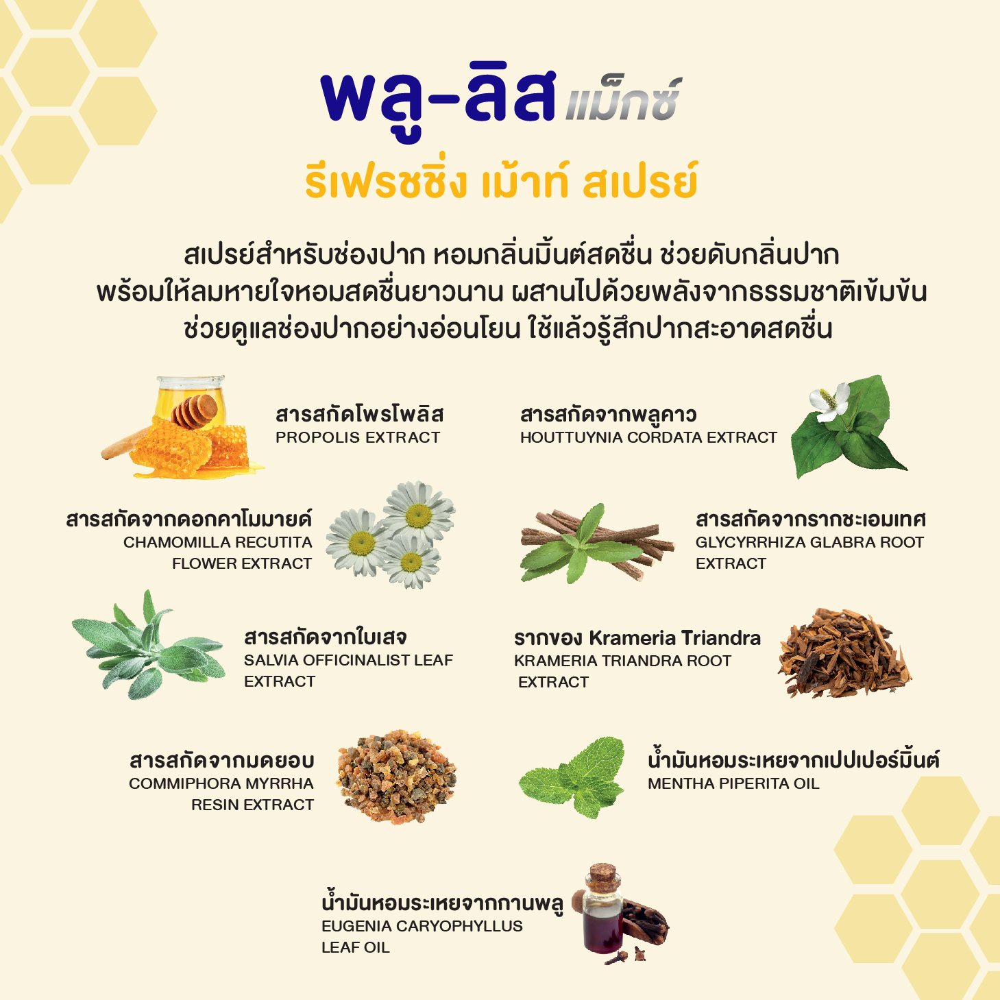 PLU-LIS MAX (PACK3) พลู-ลิส แม็กซ์ รีเฟรชชิ่ง เม้าท์ สเปรย์ | Shopee ...