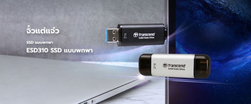 Transcend External SSD Smallest 512GB 1TB 2TB ( ESD310 ) USB A and Type ...