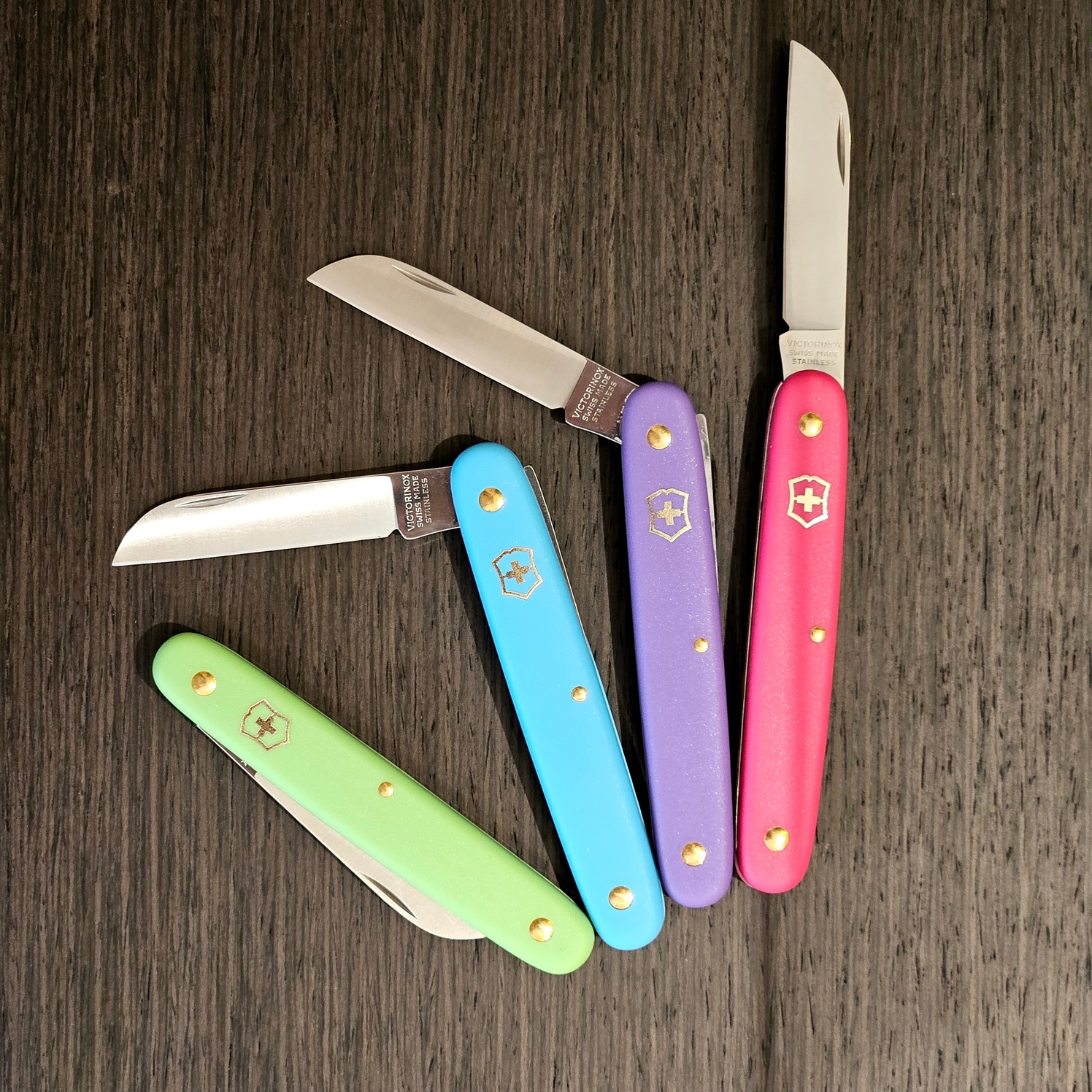 Victorinox Floral & Garden Knife Straight Blade 100mm (3.9050) มีดพับ ...