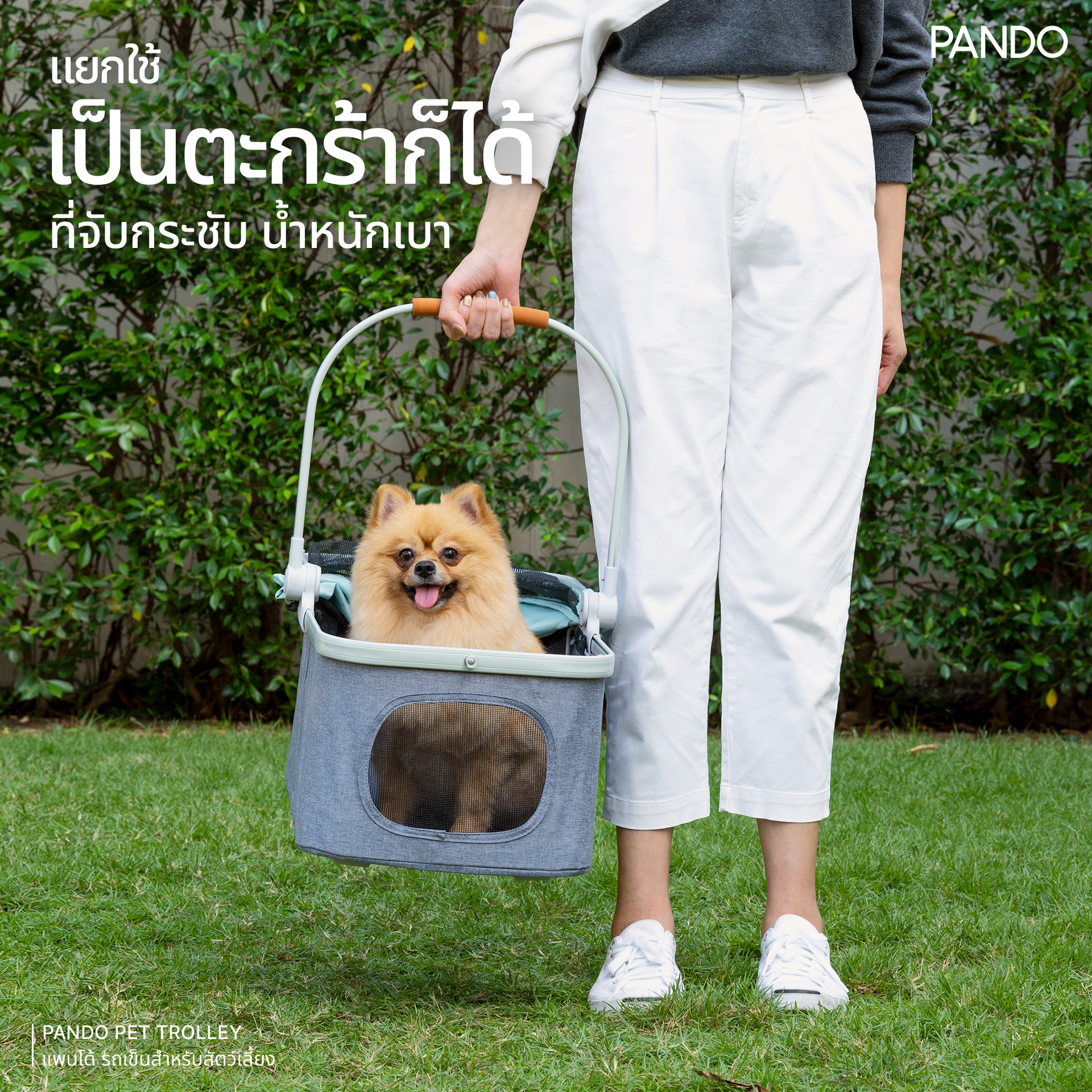 PANDO Second Generation Pet Trolleyแพนโด้ รถเข็นสำหรับสัตว์เลี้ยง ...