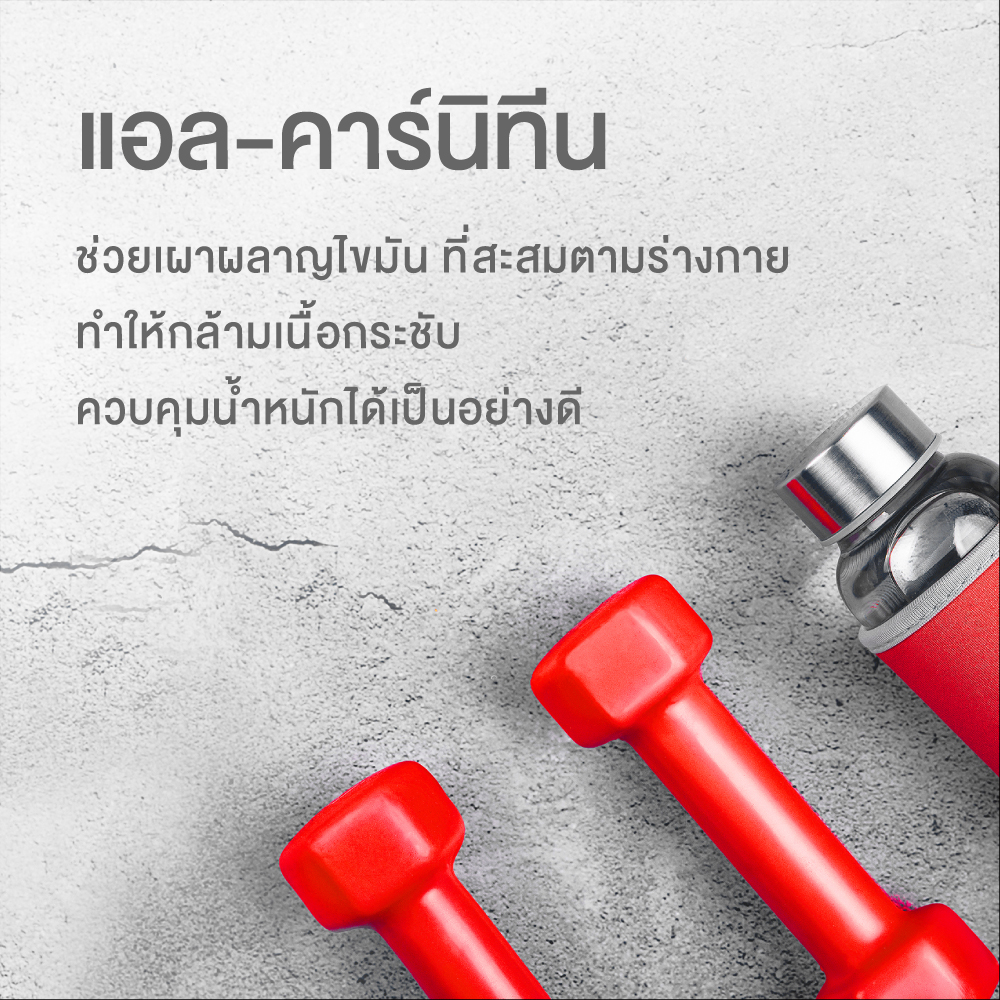 [ซื้อ 2 ฟรี 1] InterCare - L-carnitine 500+ ช่วยเผาผลาญ สร้างกล้ามเนื้อ 60 เม็ด 2 กระปุก แถม 30 ...