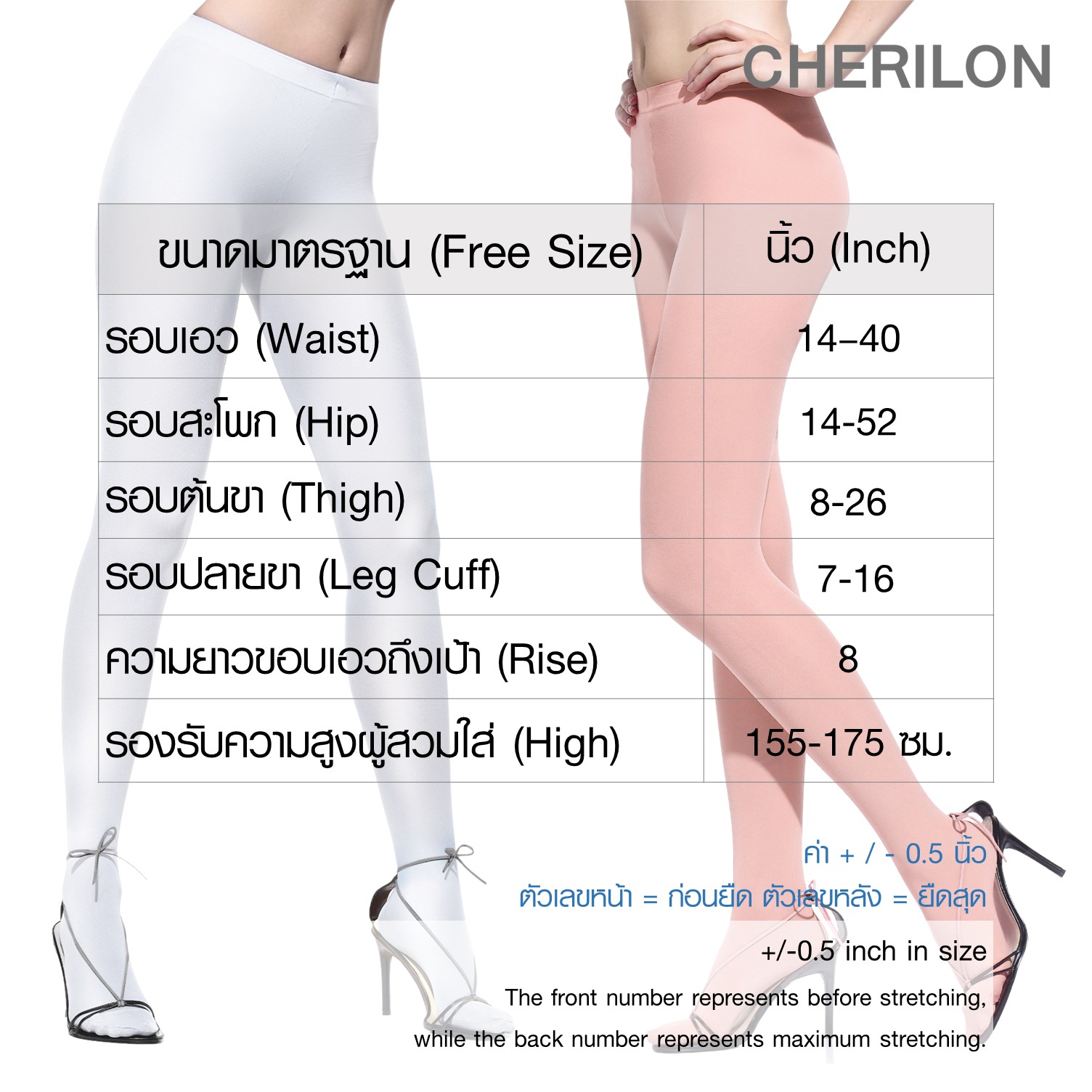 Cherilon เชอรีล่อน ถุงน่อง บัลเล่ต์ แฟชั่น เนื้อทึบ ถุงน่องหนา 40D กระชับ ซักไม่ย้วย MIX&MATCH ...
