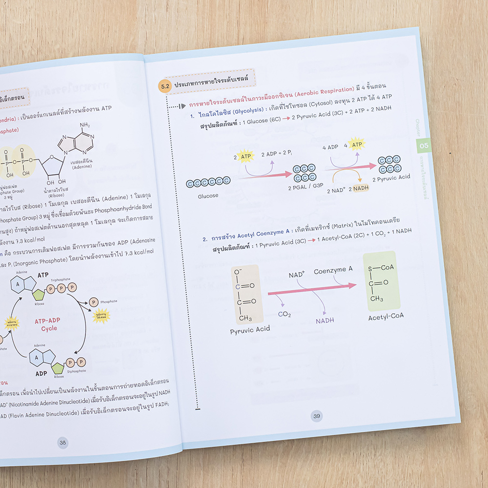 Thinkbeyond Book(ธิงค์บียอนด์ บุ๊คส์) หนังสือ Essentials Note สรุปหลักชีววิทยา ม.ปลาย ...