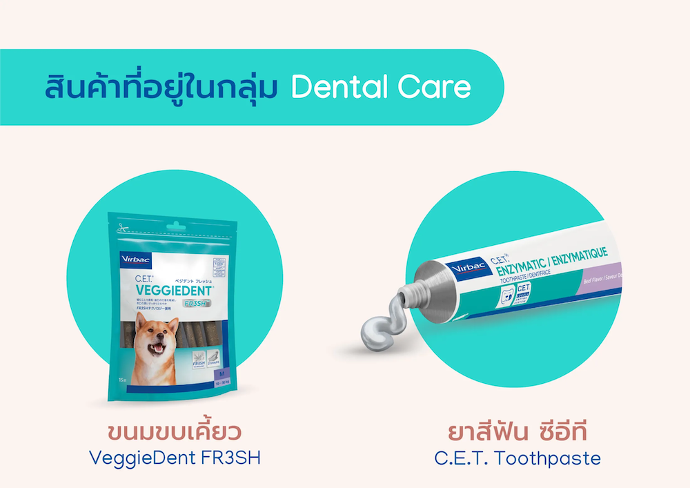Virbac ยาสีฟัน ซีอีที รสไก่ [C.E.T.® Enzymatic Toothpaste - Poultry 70 ...