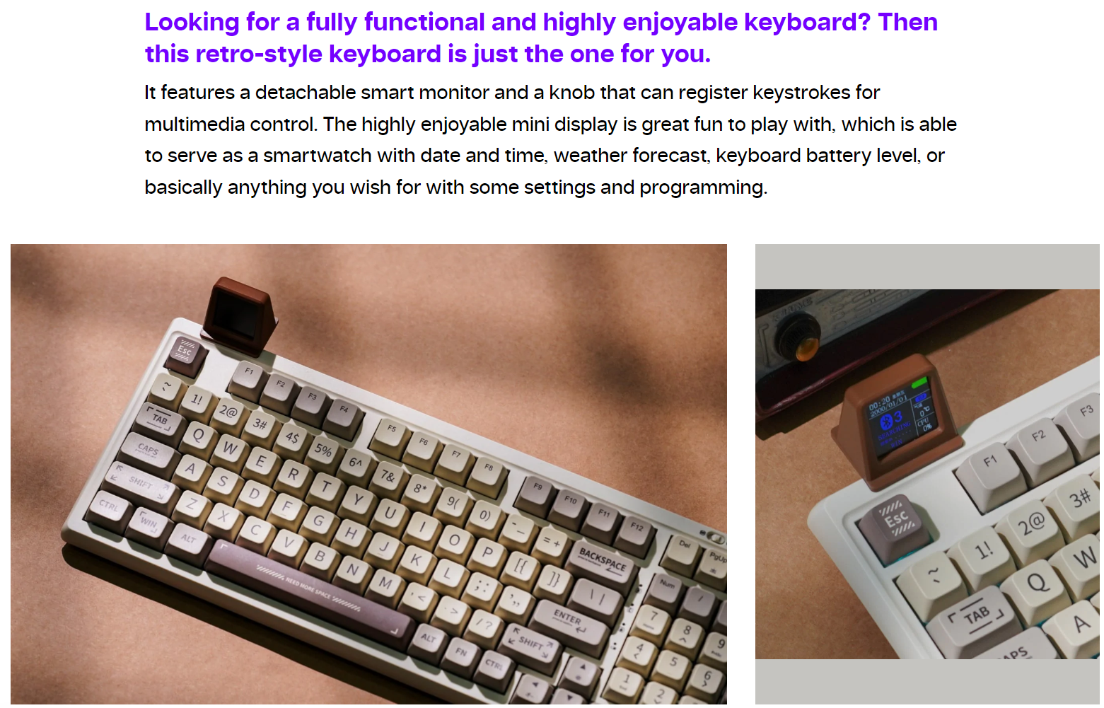 EPOMAKER RT100 / 95% Retro Mechanical Keyboard with Knob and Mini ...