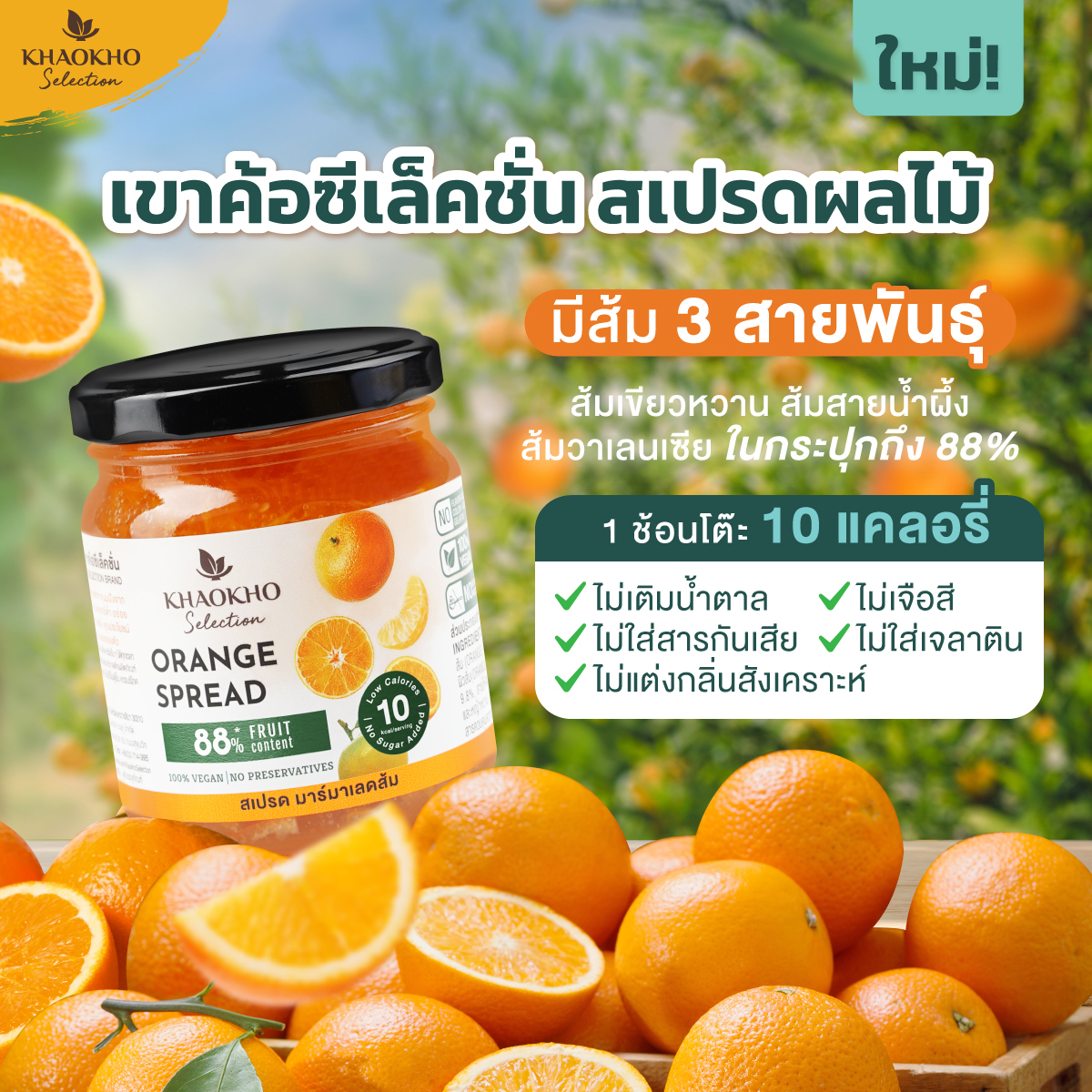 Khaokho Selection เขาค้อ ซีเล็คชั่น สเปรดผลไม้ (200 กรัม) แยม แคลต่ำ ส้ม สตอเบอร์รี่ มิกซ์เบอร์ ...