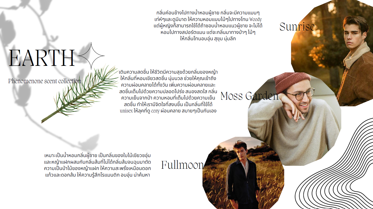 Divana Room Diffuser: Phenomenon Collection 100ml. ก้านไม้หอม ก้านไม้ ...