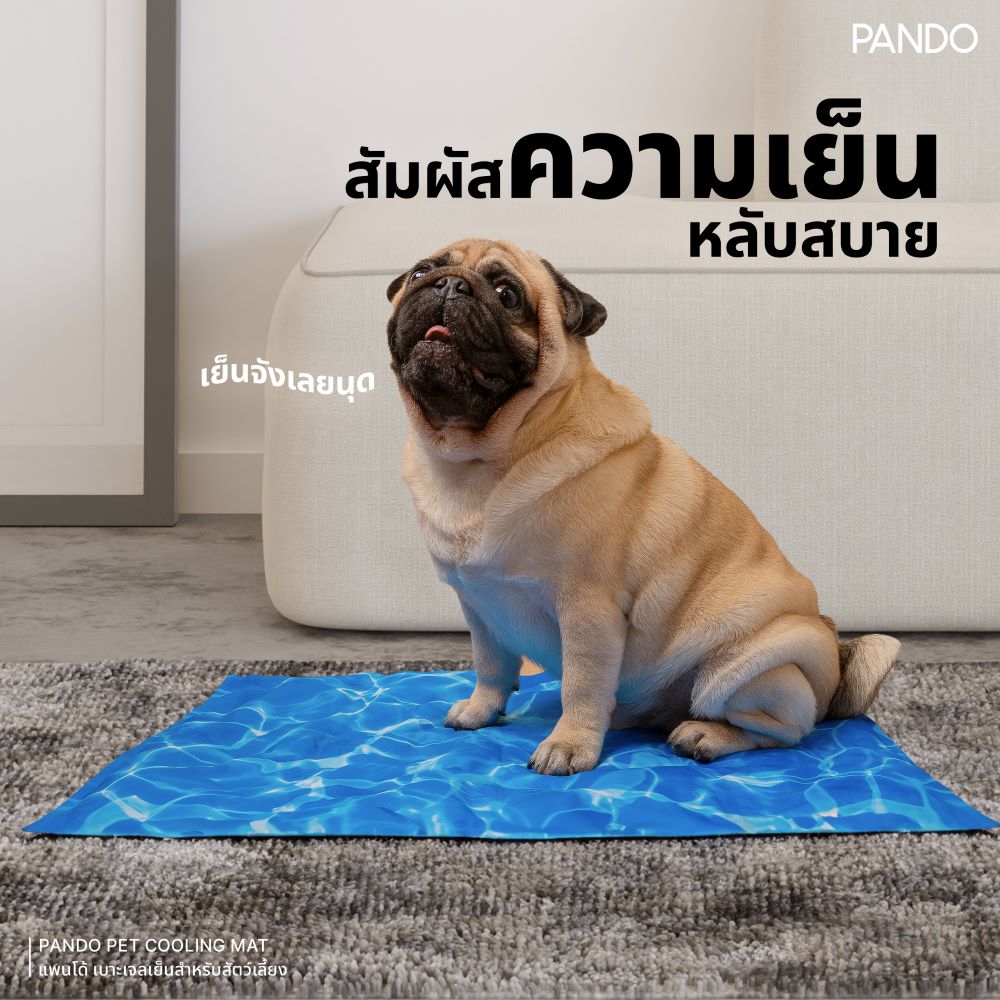 [สินค้าใหม่] PANDO Pet Cooling Mat แพนโด้ เบาะเจลเย็นสำหรับสัตว์เลี้ยง ...