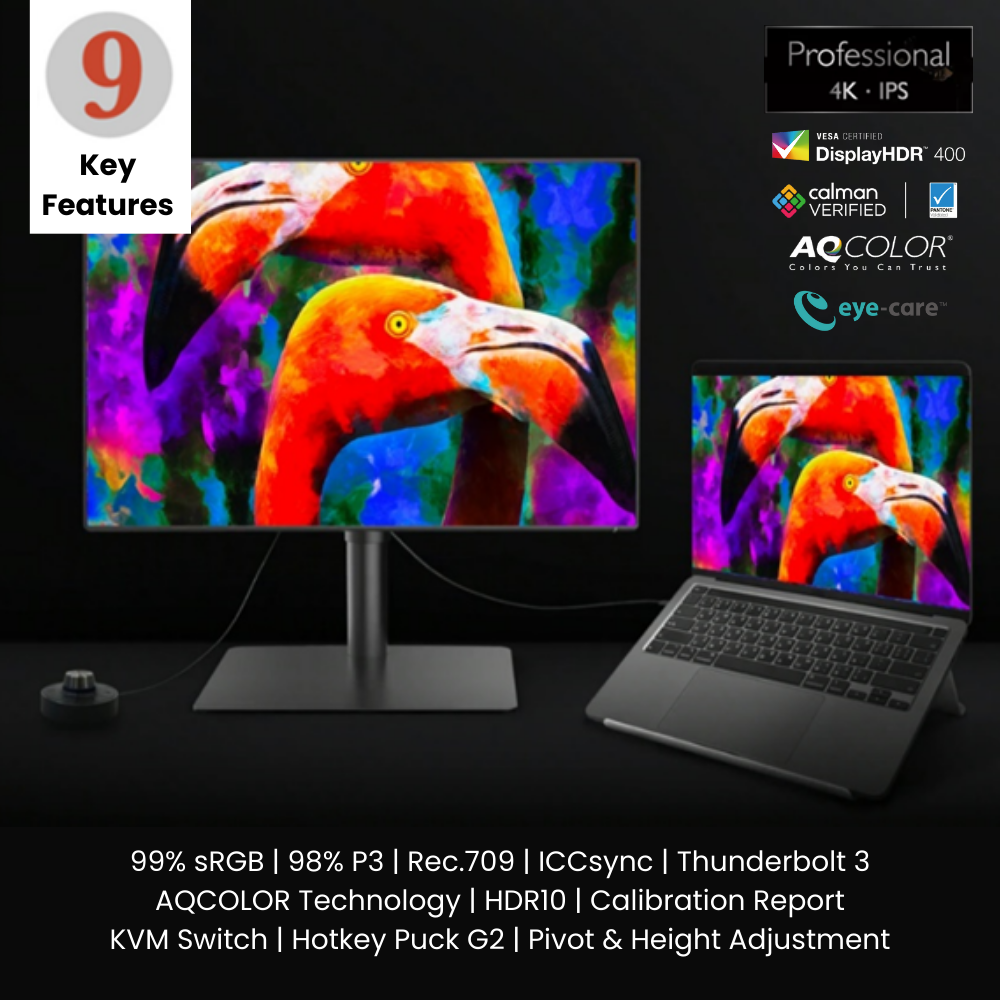 BenQ PD3225U 32นิ้ว 4K 98% P3 Thunderbolt 3 Mac-Ready Designer Monitor ...