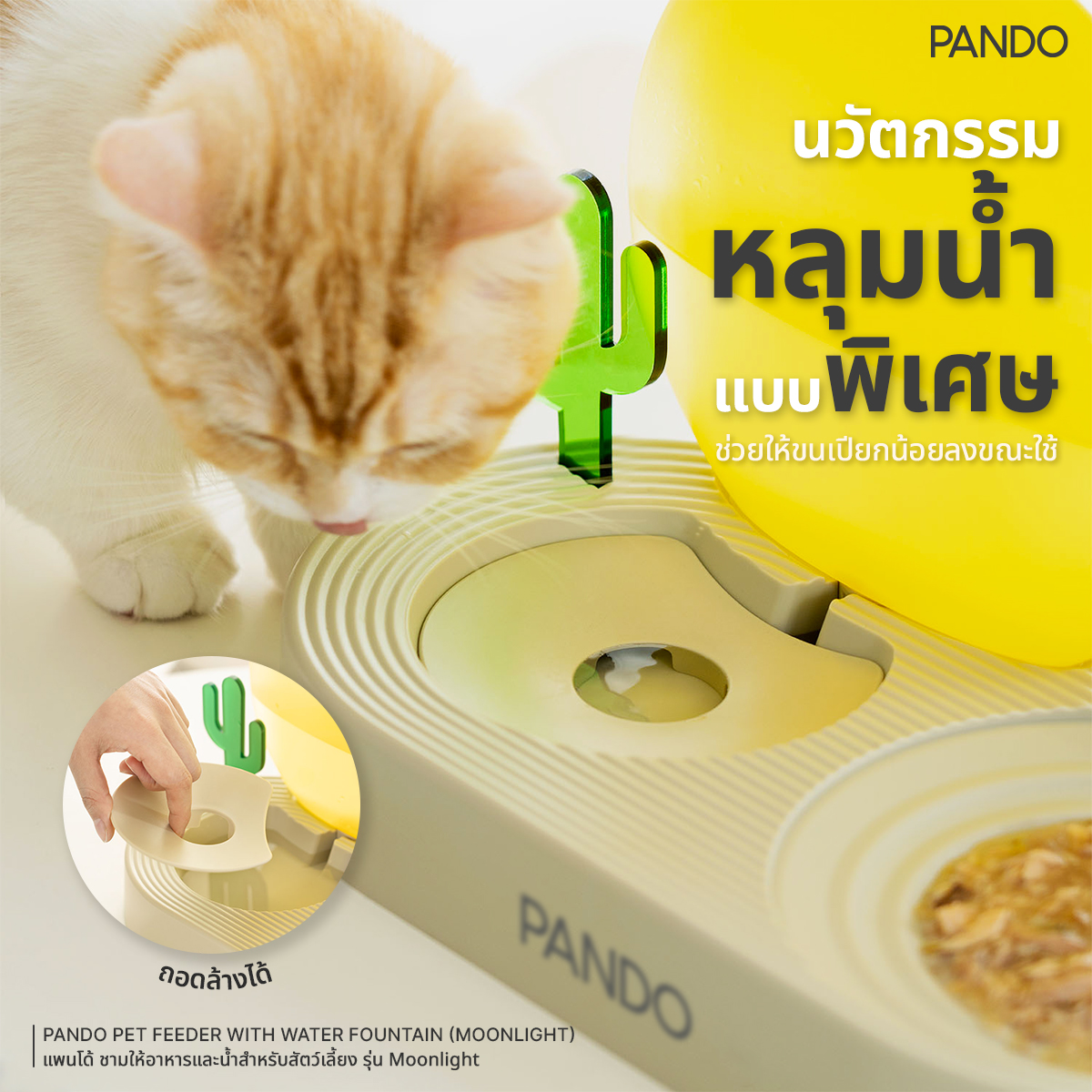 [สินค้าใหม่] PANDO Pet Feeder with Water Fountain (Moonlight) แพนโด้ ...