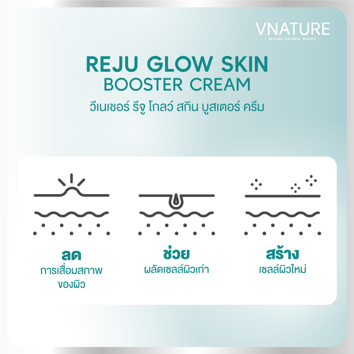 VNATURE Reju Glow Skin Booster Cream ครีมฝ้า ลดริ้วรอย รีจูรันสูตร ...