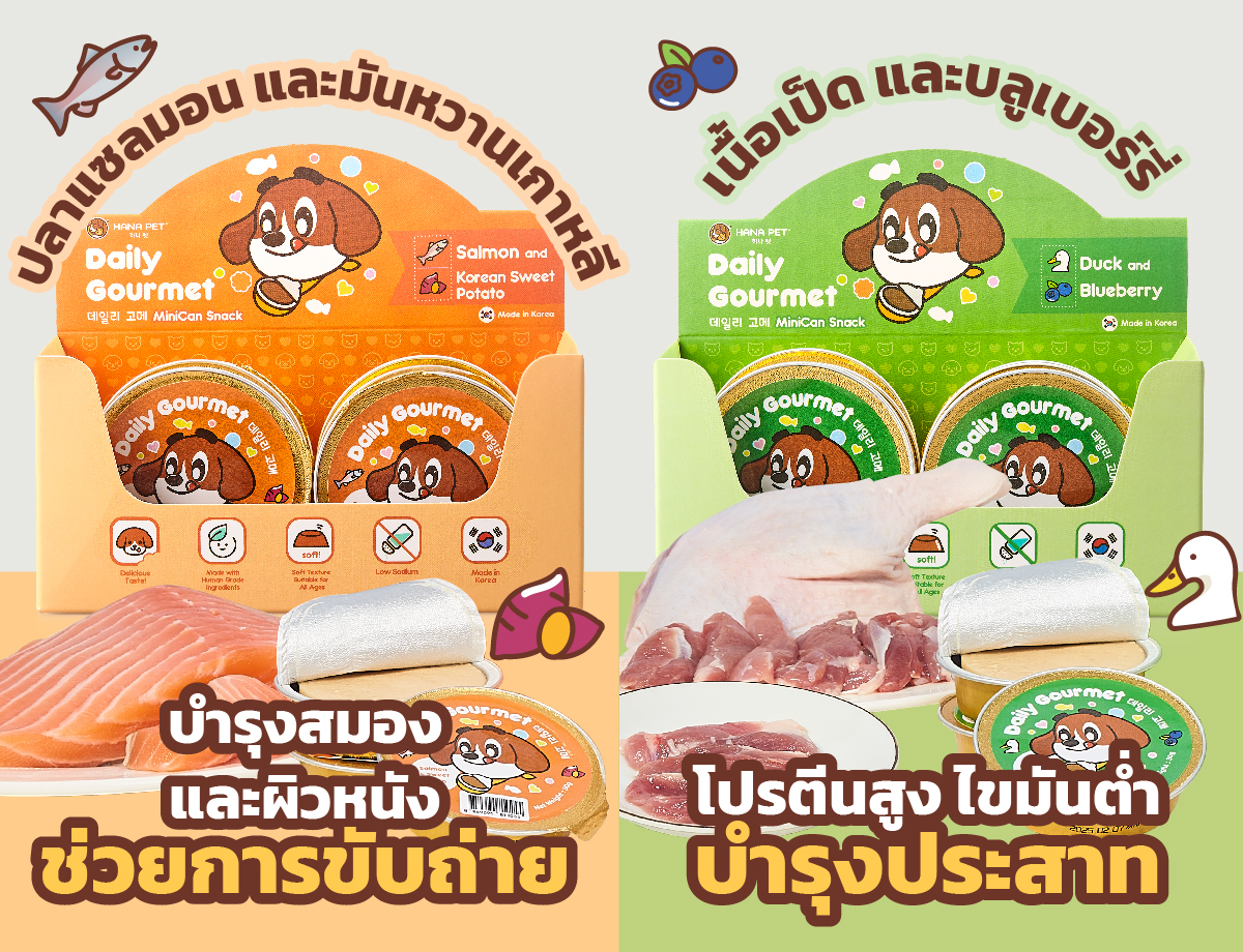 Hana Pet ขนมสุนัขขนมแมว Tasty Town Daily Gourmet รูปแบบมูสเยลลี่ มีให้เลือก 4 สูตร | Shopee Thailand