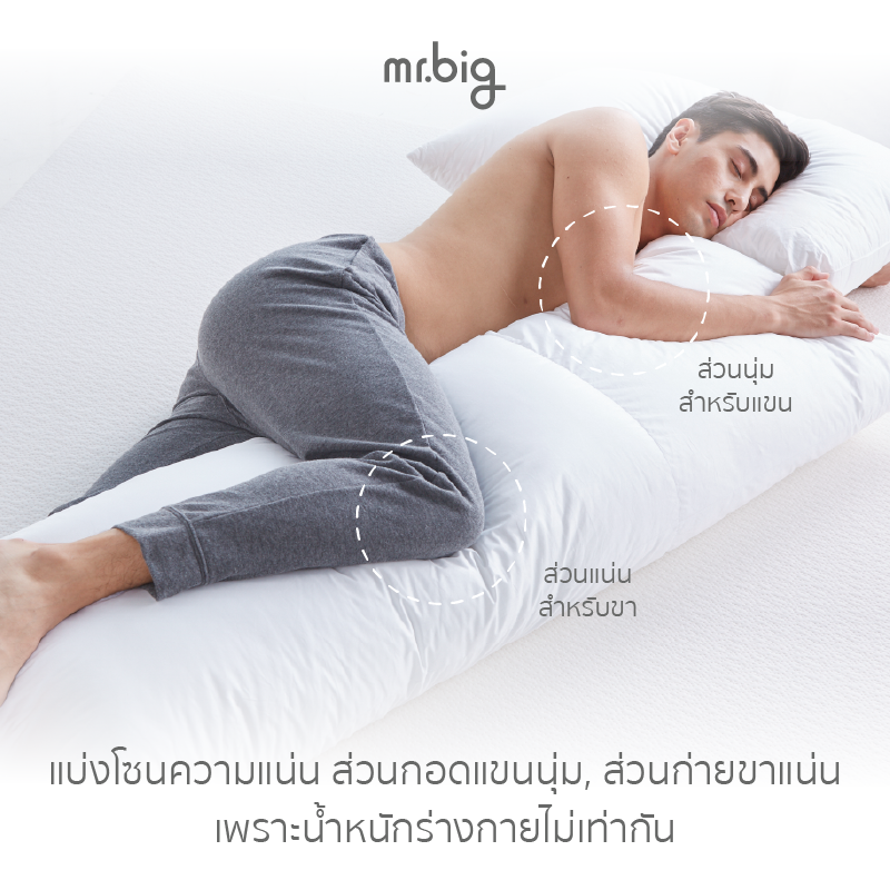 mr.big Body Pillow หมอนกอด Ergonomic พร้อมปลอก 1 ชิ้น | Shopee Thailand