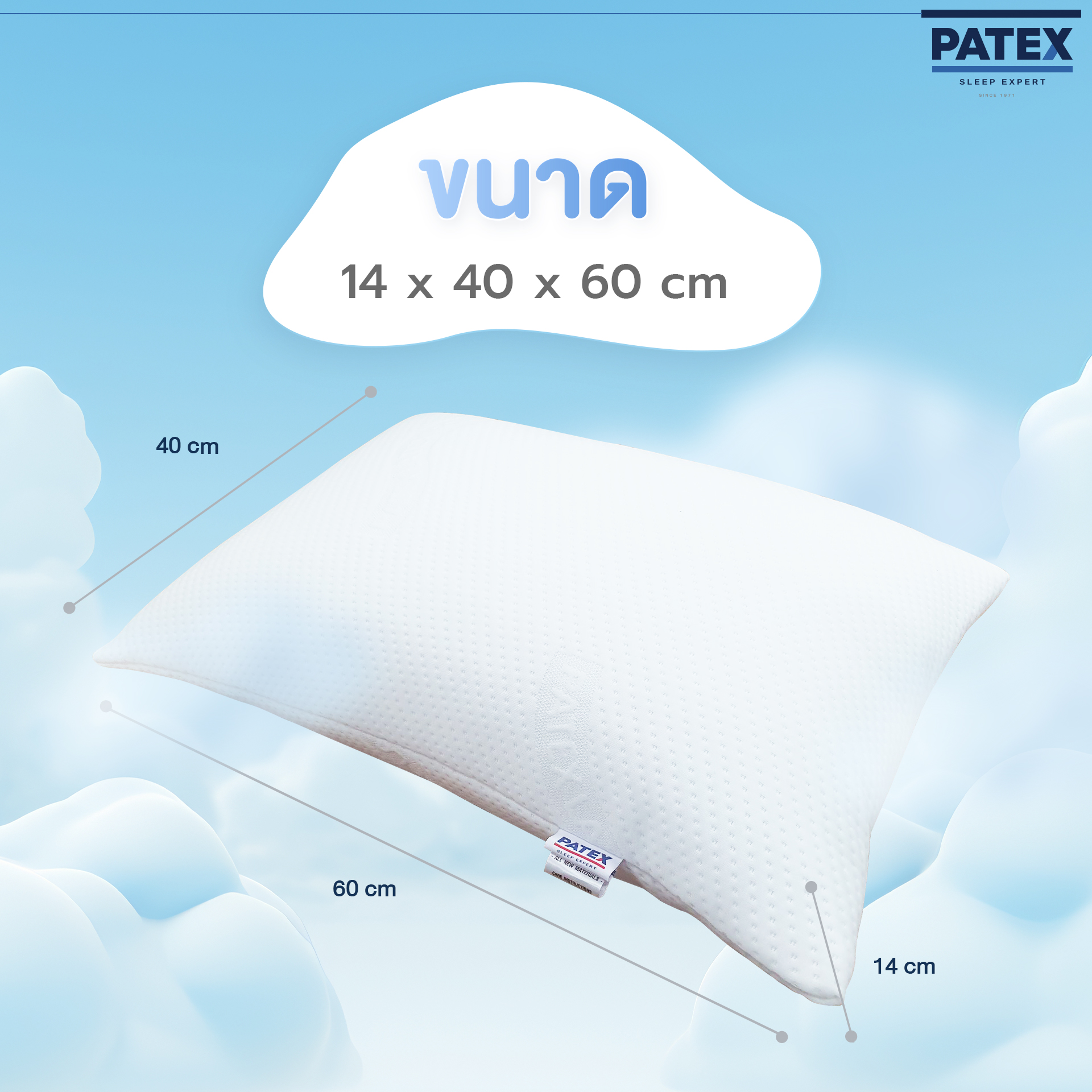 PATEX หมอนเพื่อสุขภาพ ยางพาราปั่น หมอนยางพาราแท้ 100% รุ่น CuddleCurve ...