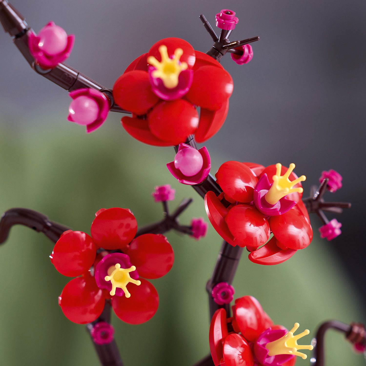LEGO Botanicals 10369 Plum Blossom (327pcs.), Building Blocks, Kids Toy ...