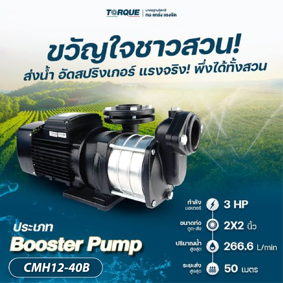 TORQUE ปั๊มหอยโข่งไฟฟ้าทอร์ค แบบหลายใบพัด Multi stages self pumps 2 ...