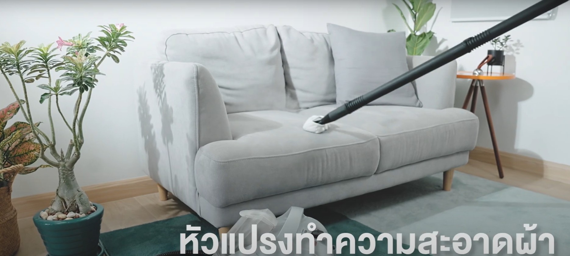 Mister Robot เครื่องทำความสะอาดระบบไอน้ำ รุ่น Heavy Duty Steam Cleaner ...