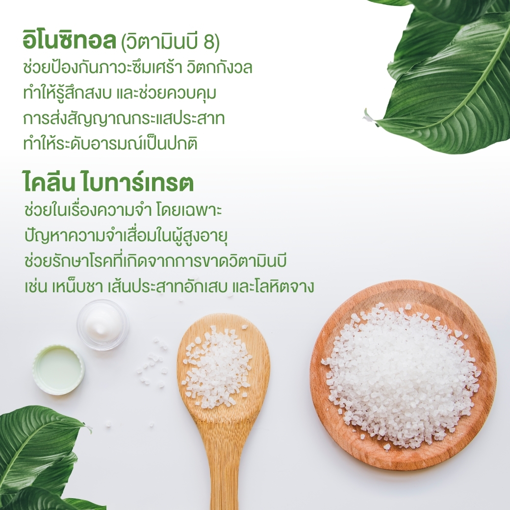 [60 เม็ด] InterCare - Active-B Plus Ginkgo แอคทีฟ บี พลัส จิงโกะ บำรุงสมองเพิ่มความจำ วิตามินบี ...