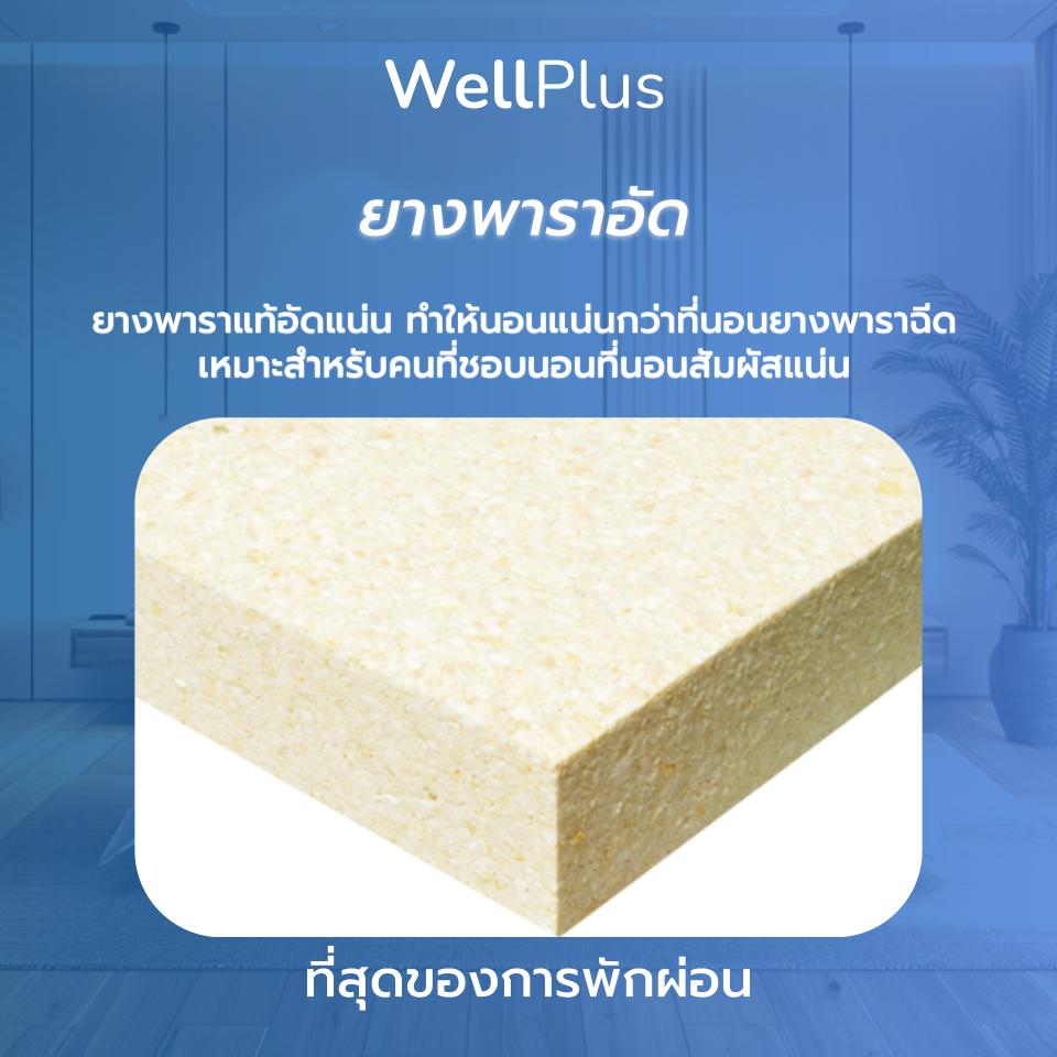 Wellplus ที่นอนยางพาราแท้ สัมผัสแน่น รุ่น ANDROMEDA ความหนา 8 นิ้ว ยางพาราเกรดพรีเมียม รองรับ ...