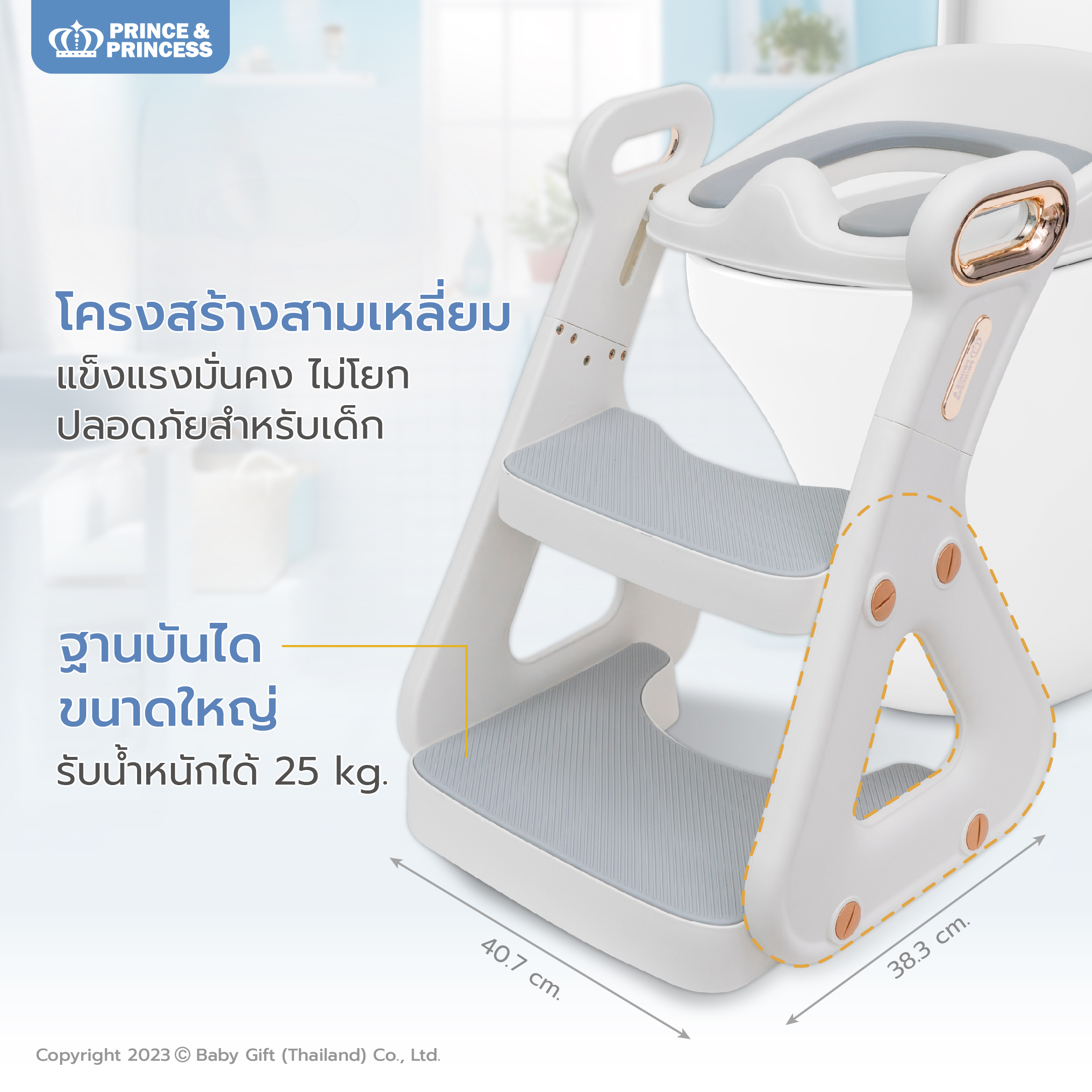 บันไดชักโครกเด็ก 2-6 ปี 2in1 Baby Potty Ladder - Prince & Princess ฝึก ...