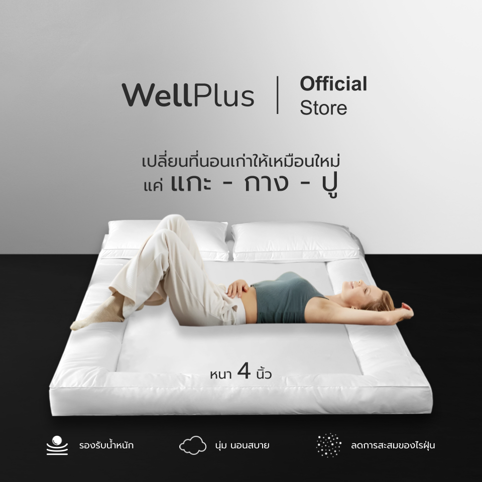 Wellplus Topper รุ่น Now หนา 4 นิ้ว ท็อปเปอร์สุขภาพ ใยขนห่านเทียม นุ่ม ...