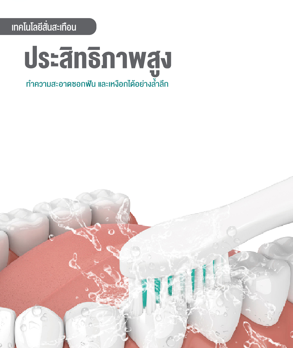 Simplus Electric Toothbrush เเปรงฟันไฟฟ้า 2in1 โหมดทำความสะอาด 3 โหมด ...