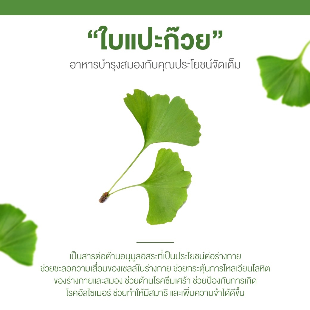 InterCare Active-B Plus Ginkgo แอคทีฟบีพลัสจิงโกะ บำรุงสมองเพิ่มความจำ สกัดจากใบแปะก๊วย วิตามินบ ...