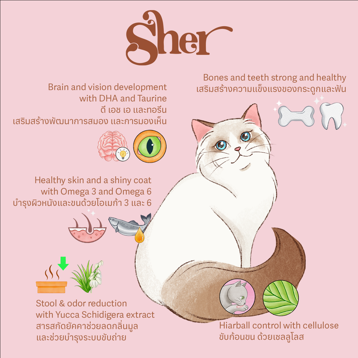 [แพ็กคู่] Sher อาหารแมว เชอร์ ฟอร์ แคทส์ ชิกเก้น แอนด์ สวีท โปเตโต้ ...