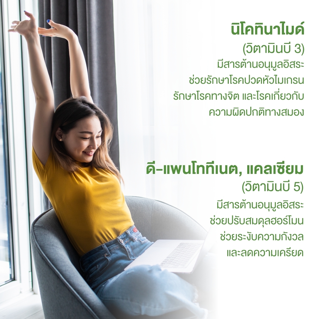 InterCare Active-B Plus Ginkgo แอคทีฟบีพลัสจิงโกะ บำรุงสมองเพิ่มความจำ สกัดจากใบแปะก๊วย วิตามินบ ...