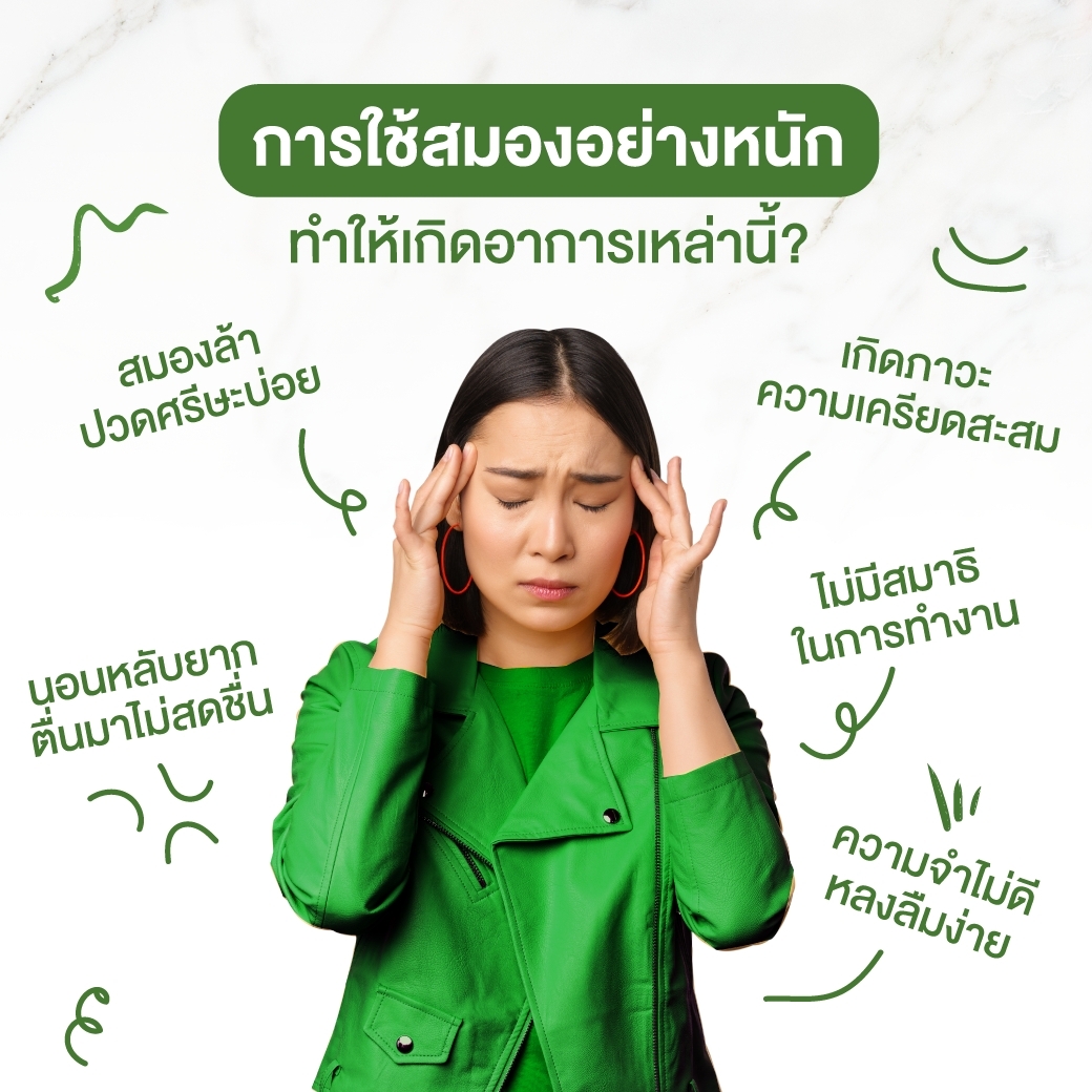 [60 เม็ด] InterCare - Active-B Plus Ginkgo แอคทีฟ บี พลัส จิงโกะ บำรุงสมองเพิ่มความจำ วิตามินบี ...