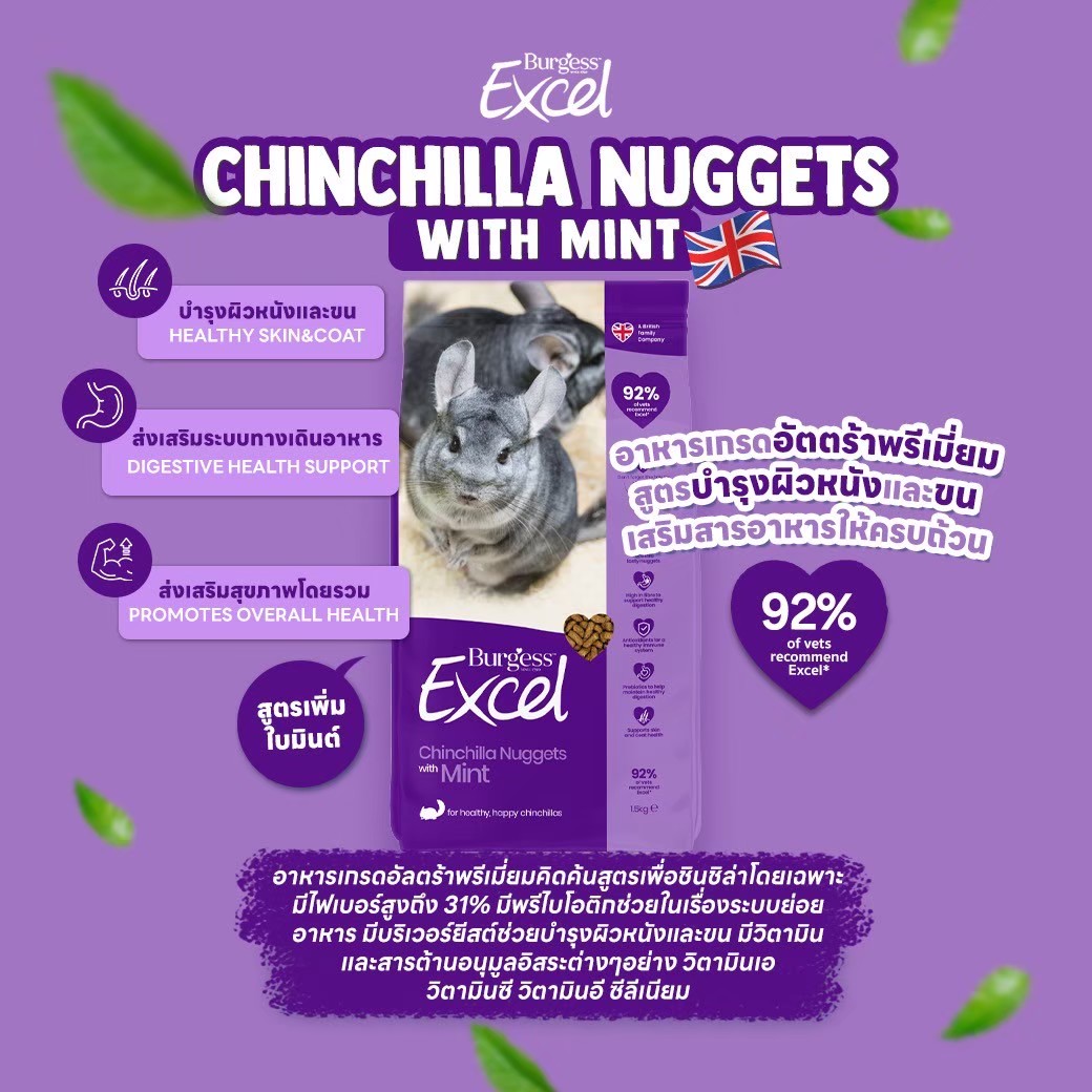 Excel Chinchilla Nugget 1.5 KG | Shopee Thailand