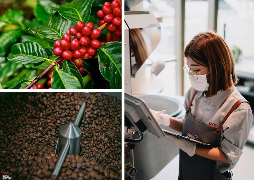 UCC Roastery- Signature Blend (Coffee Bean) เมล็ดกาแฟคั่วอ่อนค่อนกลาง ...