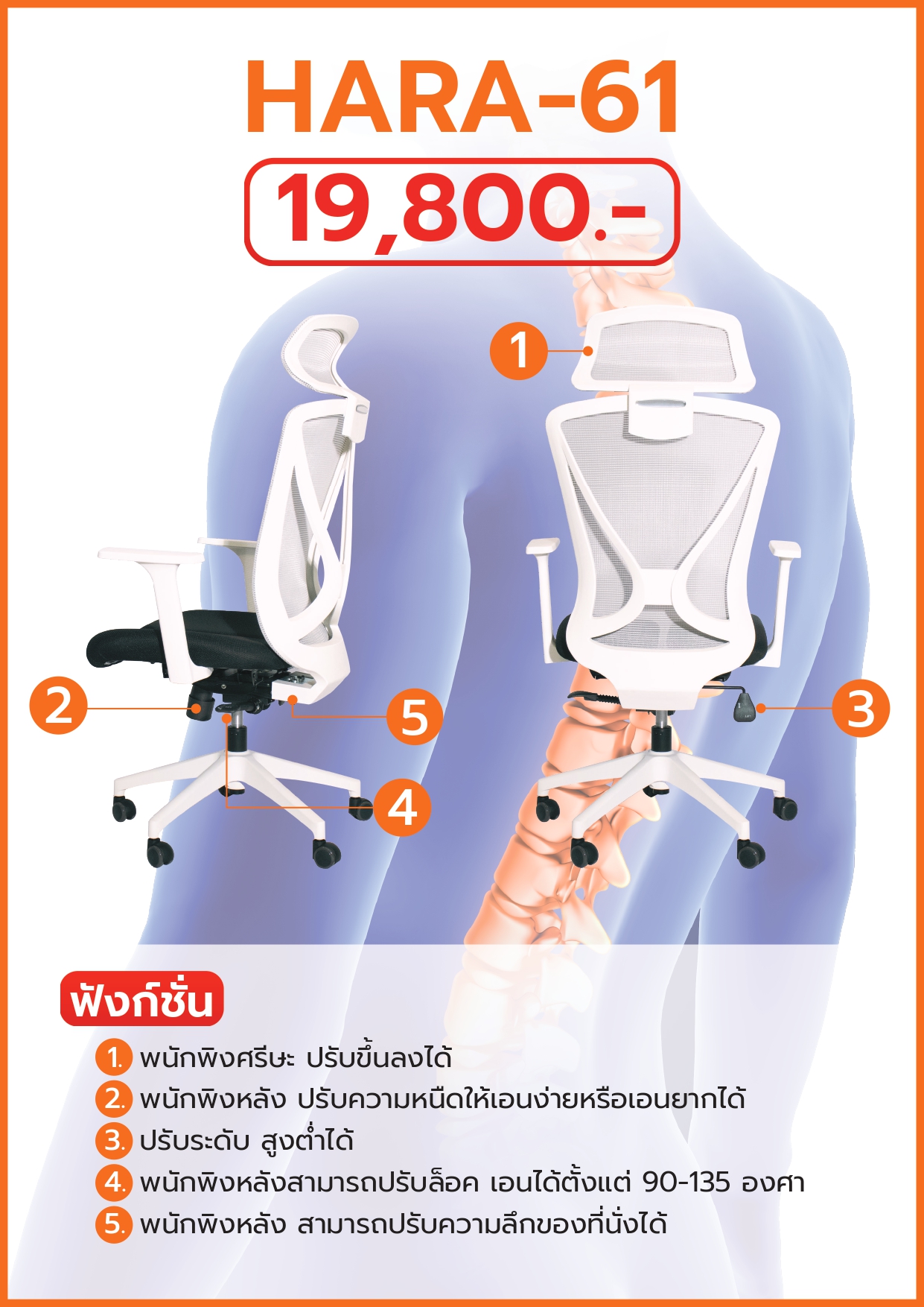[ส่งฟรี] HARA CHAIR เก้าอี้สำนักงานเพื่อสุขภาพ รุ่น HARA-61 แขนปรับ ...