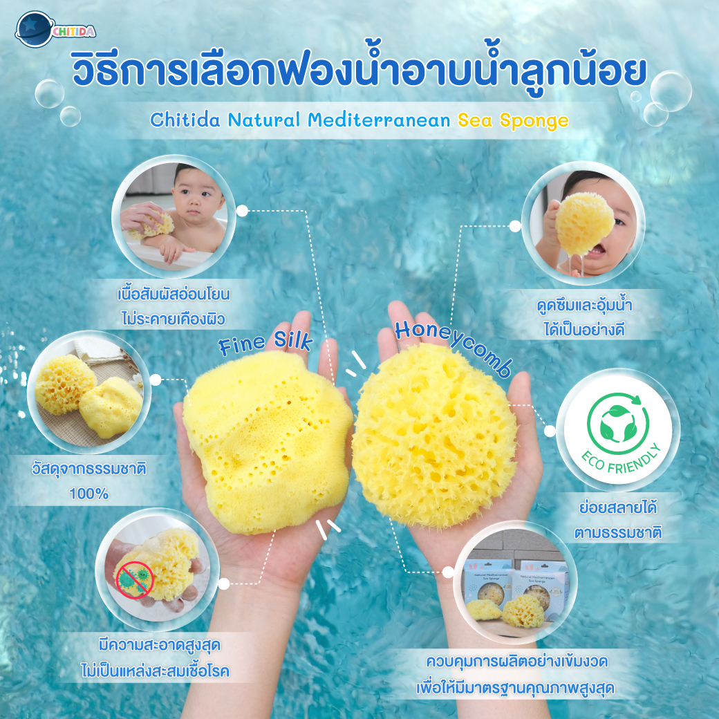 Chitida ฟองน้ำธรรมชาติแท้ 100% ฟองน้ำอาบน้ำเด็ก นุ่มมาก ใช้ได้นาน รุ่น ...