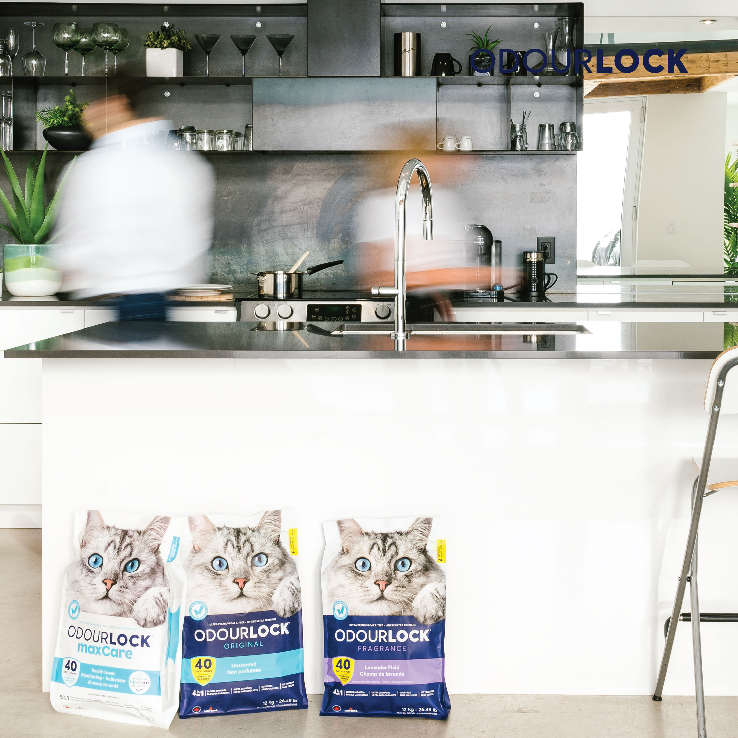 ODOURLOCK MAXCARE (โอโดล็อก แม็กแคร์) ทรายแมวภูเขาไฟ เกรด อัลตรา พรีเมี ...