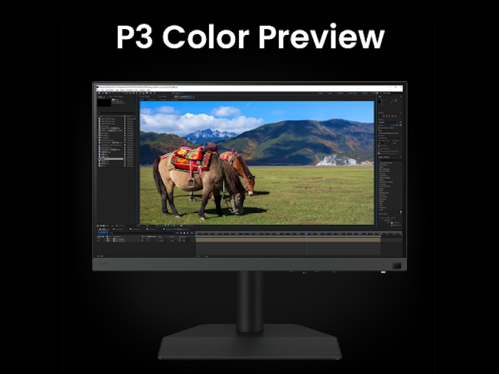 BenQ SW242Q 24นิ้ว 2K IPS AdobeRGB 90W USB-C Photographer Monitor (จอแต่งภาพ) | Shopee Thailand