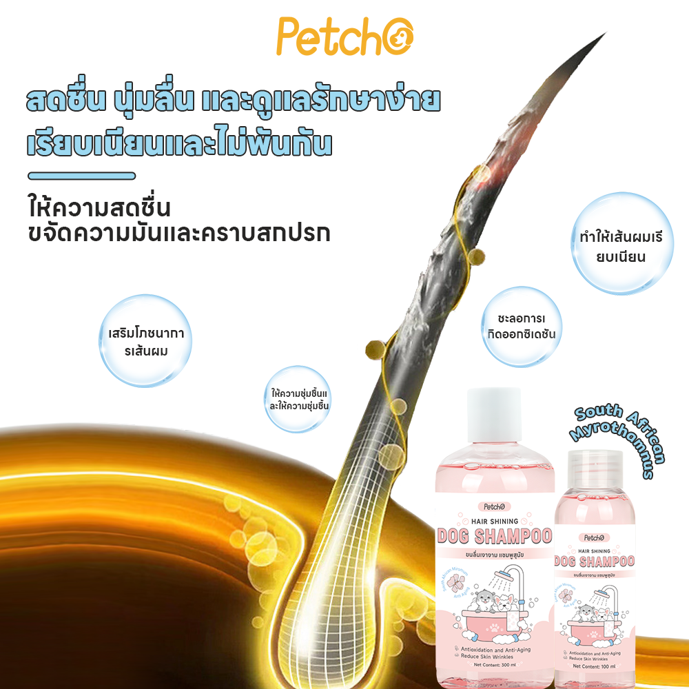 Petcho แชมพูสุนัข แชมพูสัตว์ลี้ยง ออร์แกนิค อ่อนโยน ทำความสะอาดอย่างล้ำ ...