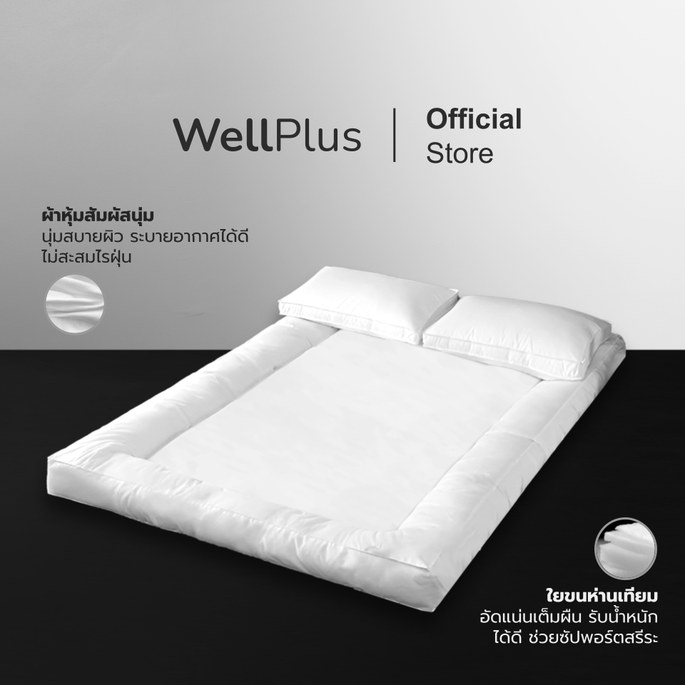 Wellplus Topper รุ่น Now หนา 4 นิ้ว ท็อปเปอร์สุขภาพ ใยขนห่านเทียม นุ่ม ...