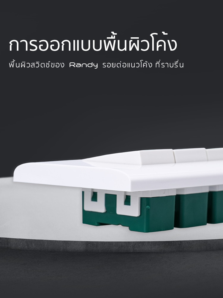 RANDY Wall switch สวิทซ์ไฟ ทางเดียว ปลั๊กกราวด์คู่ กราวด์เดี่ยว ปลั๊กไฟ ...