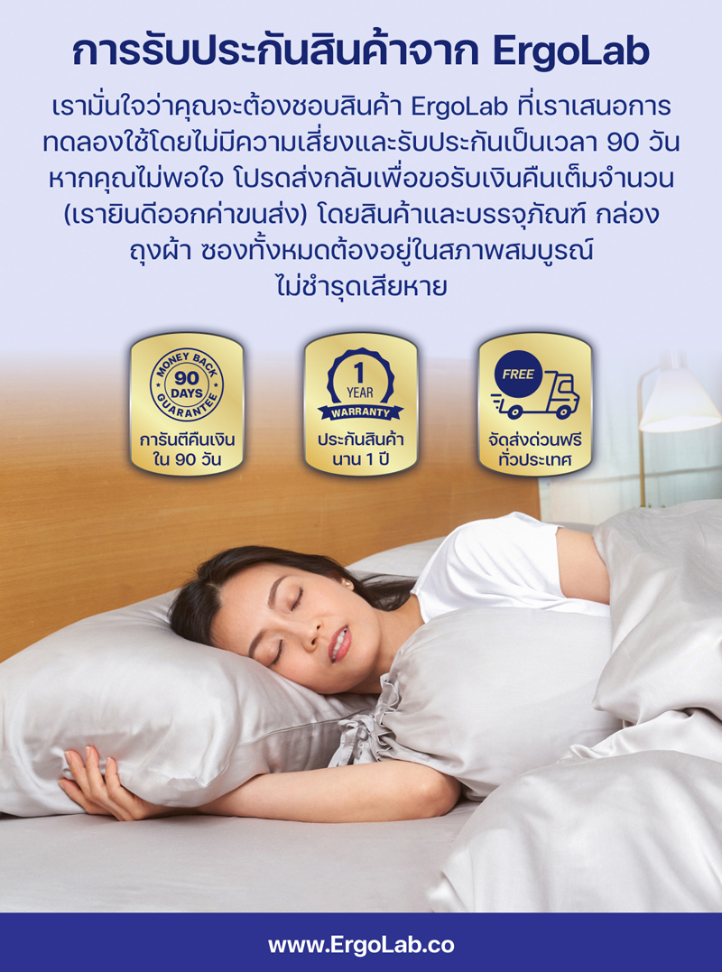 [ส่งฟรี] ปลอกหมอน ErgoLab Bamboo - สังเคราะห์จากเส้นใยไผ่ออร์แกนิก 100% - สำหรับผิว & ผม (ประกัน ...