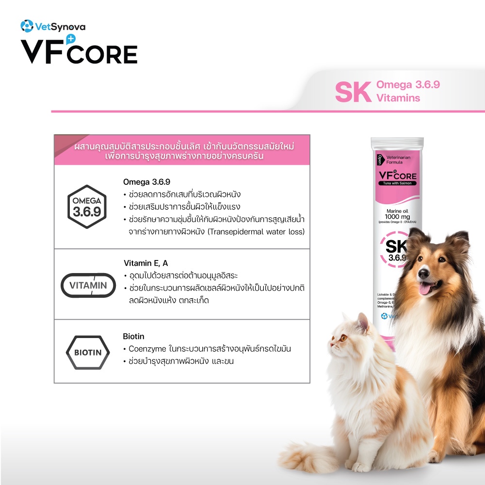VFcore วีเอฟคอร์ อาหารเสริม สำหรับสัตว์เลี้ยง 12 g | Shopee Thailand