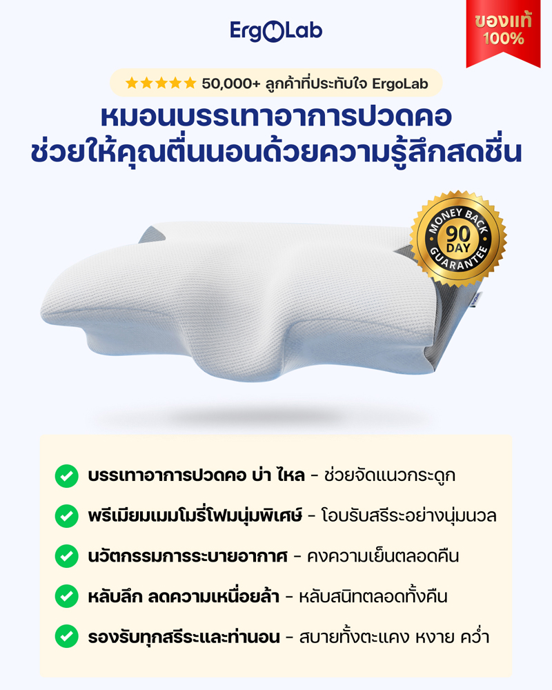 [ส่งฟรี] หมอน ErgoLab Deep Sleep | ขจัดอาการปวดคอและเปลี่ยนชีวิตการนอนด้วยการนอนหลับลึกขึ้น ...