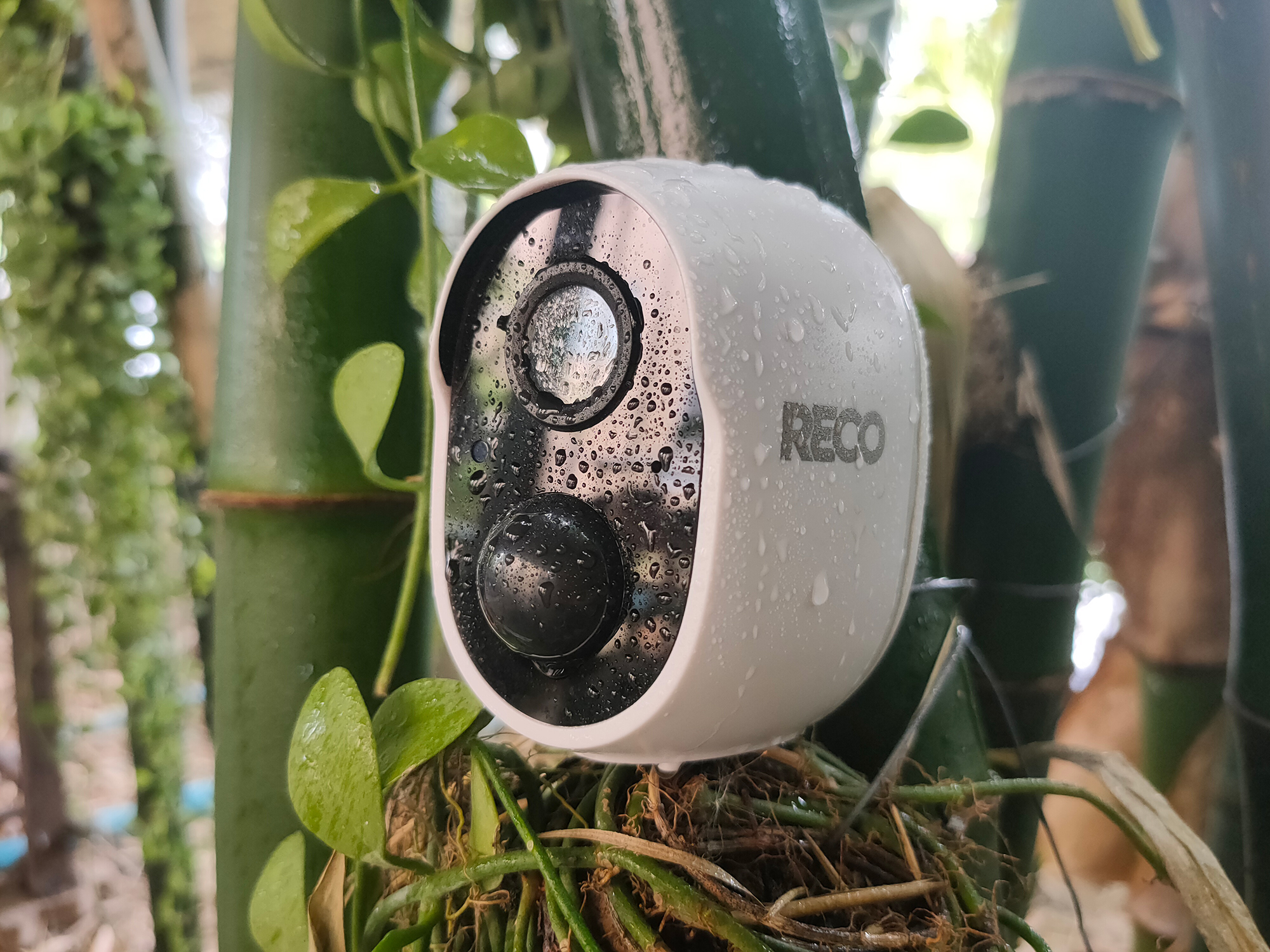 RECO กล้องวงจรปิดไร้สาย WIFIในตัว ไม่ต้องเสียบปลั๊ก บันทึกความเคลื่อนไหว ทนแดด ทนฝน | Shopee ...