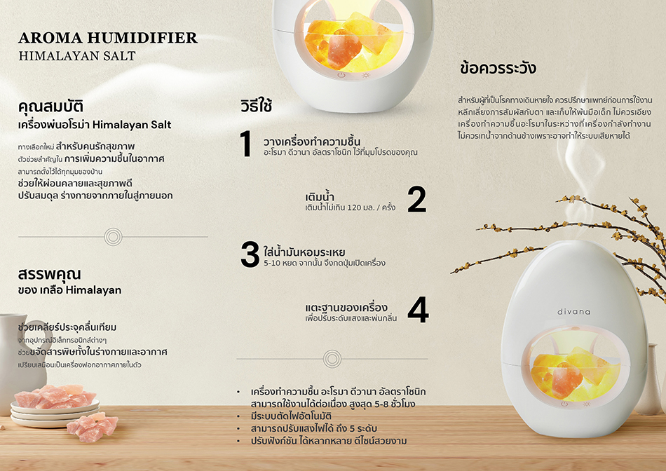 รับฟรี! Essential Oil 1pc: divana Himalayan Salt Aroma Humidifier ...