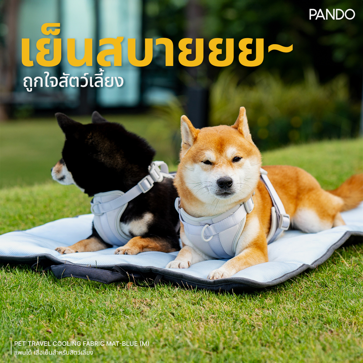 [สินค้าใหม่] PANDO Pet Travel Cooling Fabric Mat แพนโด้ เสื่อเย็นสำหรับ ...