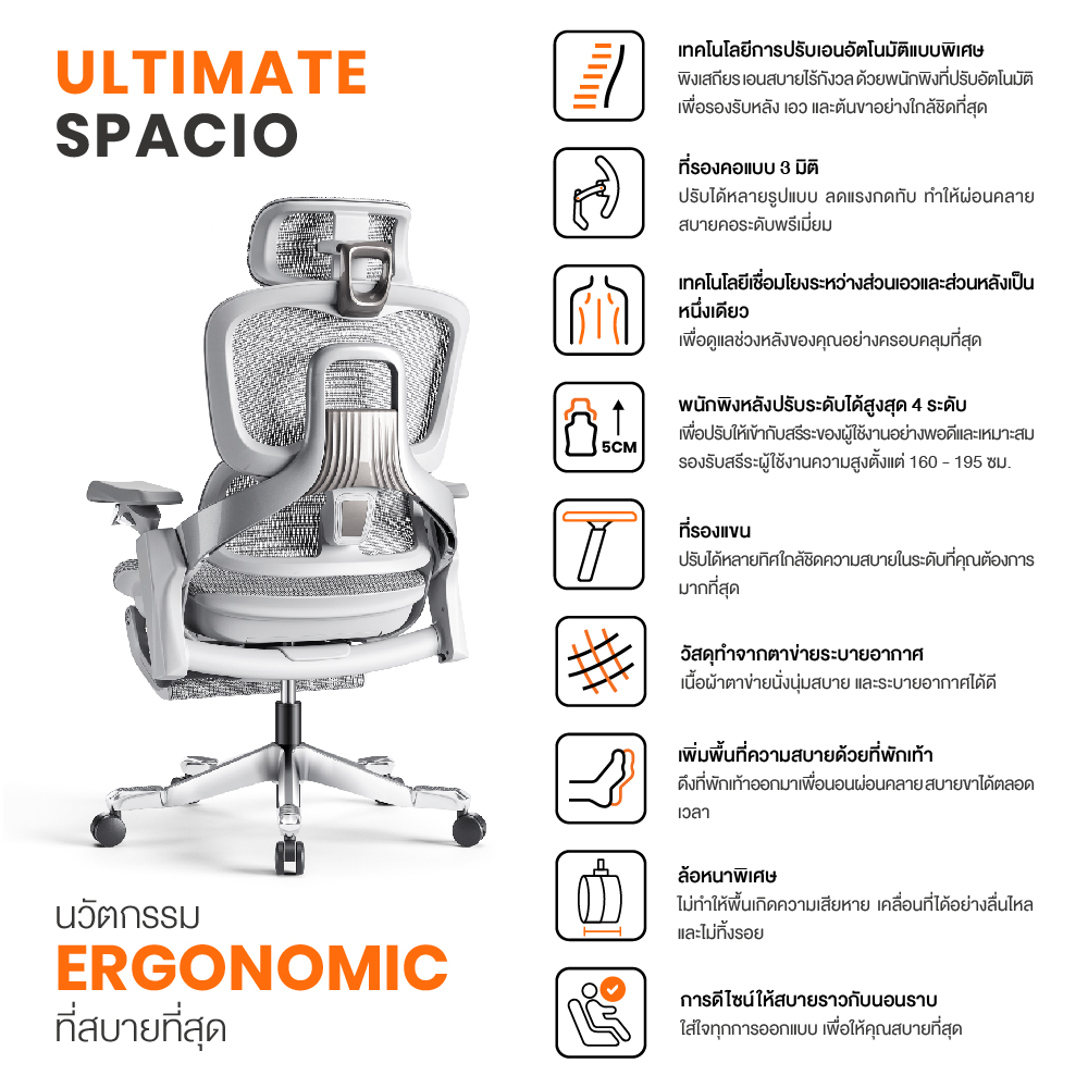 Ergotrend เก้าอี้เพื่อสุขภาพเออร์โกเทรน รุ่น Ultimate Spacio สีเทา | Shopee Thailand