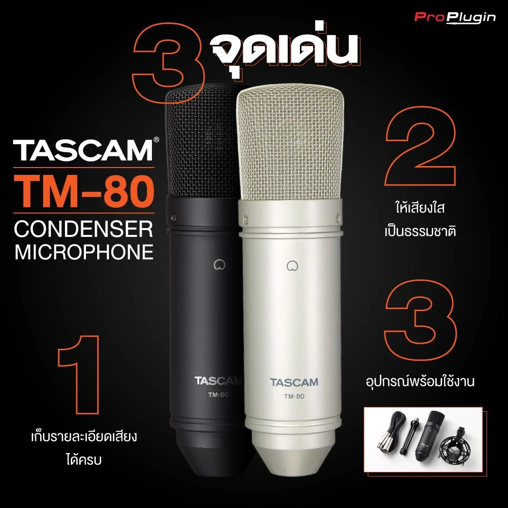 Tascam TM-80 Studio Condenser Microphone (ProPlugin) | Shopee Thailand