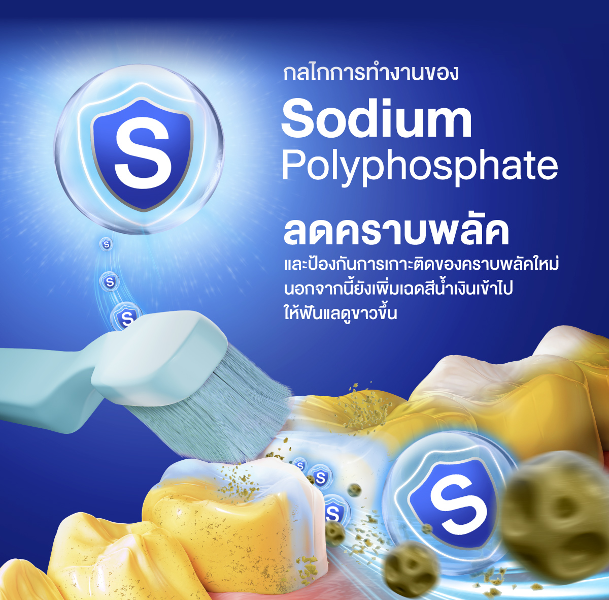 Dr.PONG Y2B WHITENING COLOR SET (TOOTHPASTE+TOOTH GEL) ยาสีฟันฟอกฟันขาว ...