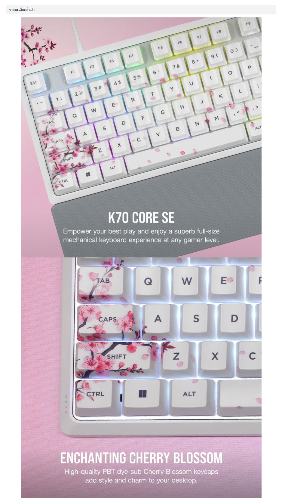 KEYBOARD (คีย์บอร์ด) CORSAIR K70 CORE SE CHERRY BLOSSOM (WHITE-PINK ...