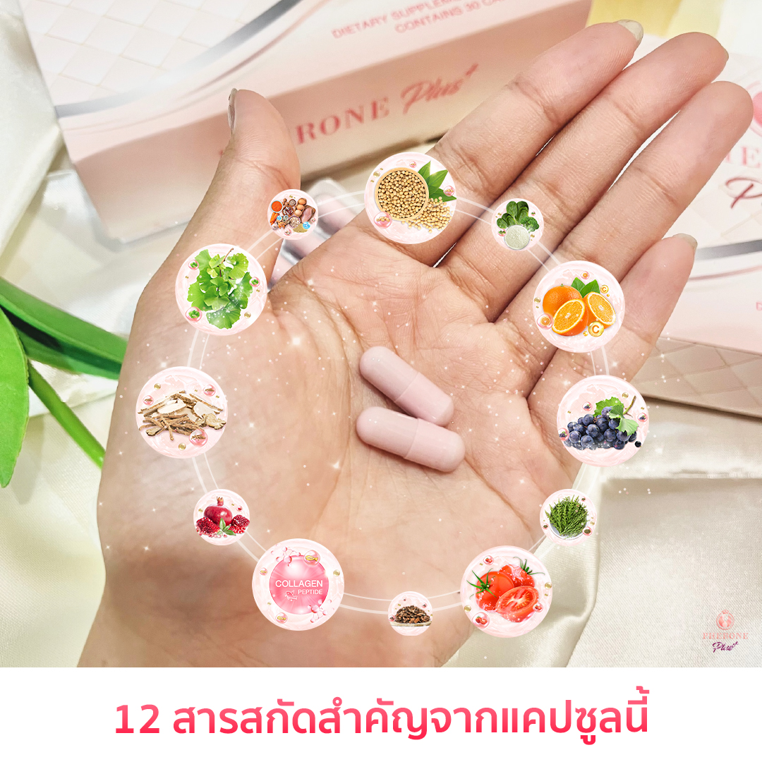 PHERONE PLUS + ฟีโรเน่พลัส มีให้เลือก 2 ขนาด กล่องใหญ่ / กล่องเล็ก ...